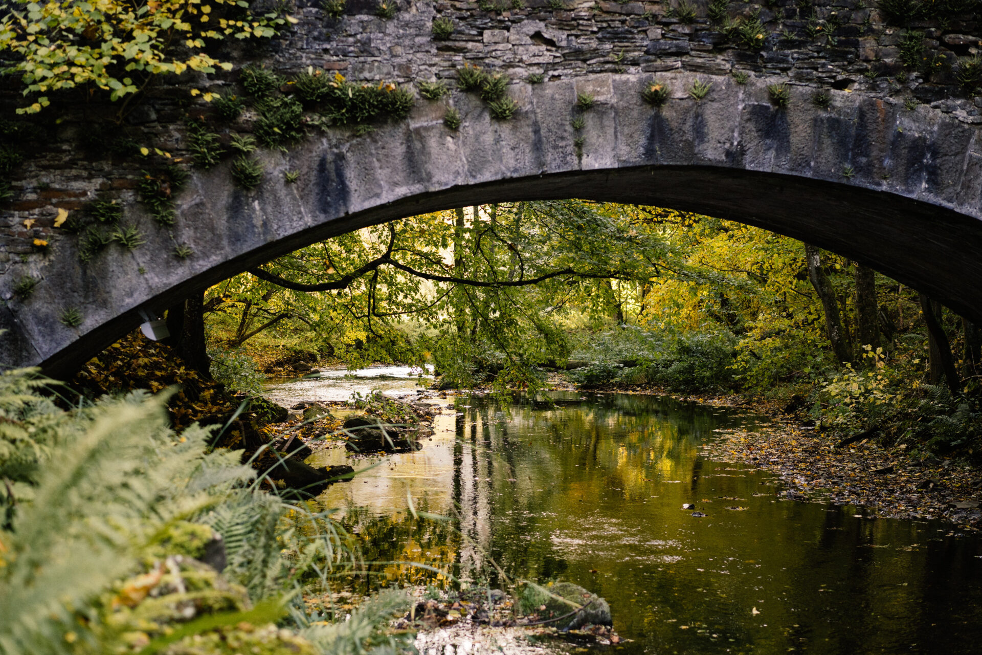 Hammesmühle Landgasthof - your place of enjoyment in the countryside!